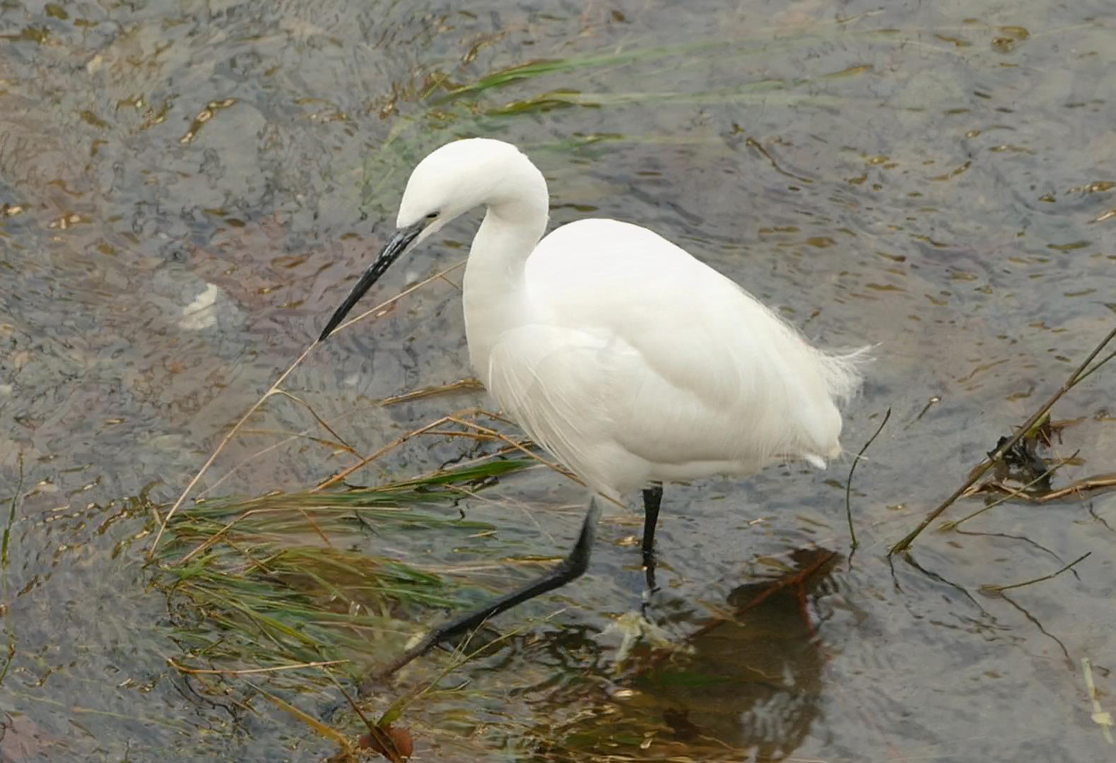 Presentación del documental Urola ibaia en el centro de interpretación ...